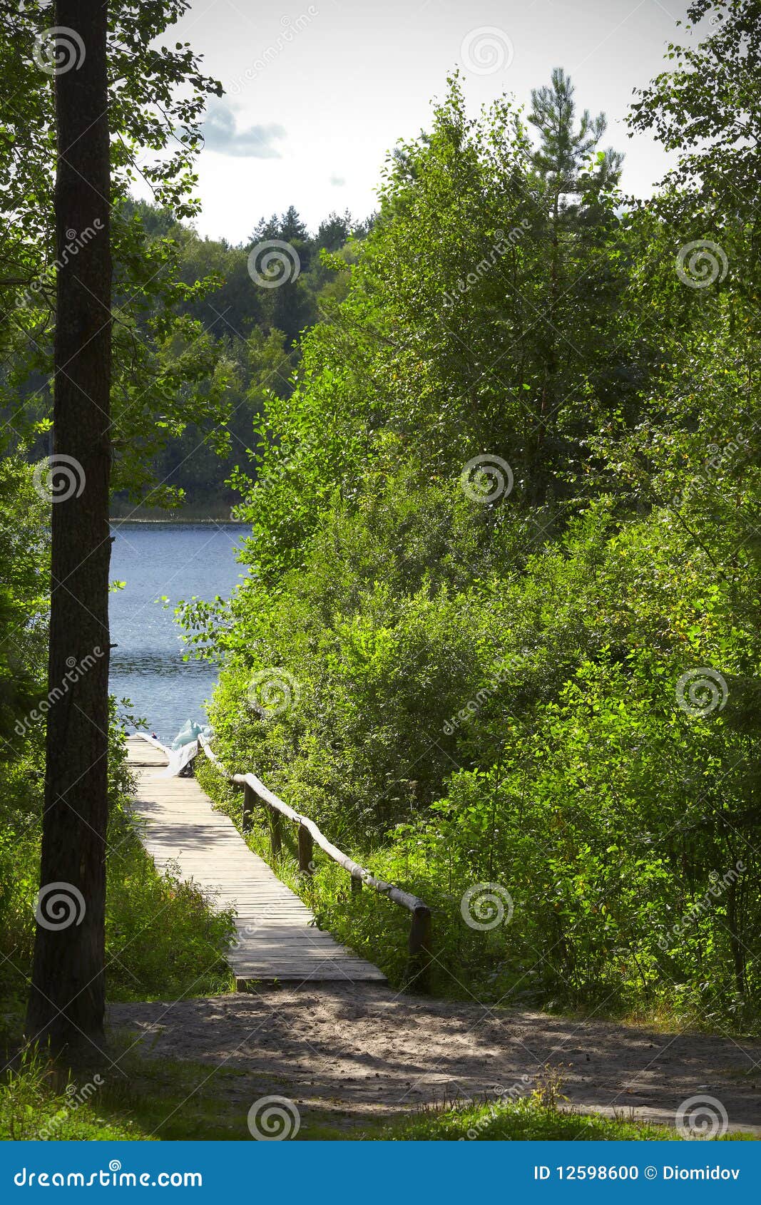 The Wooden Bridge To Lake in Forest Stock Photo - Image of water ...
