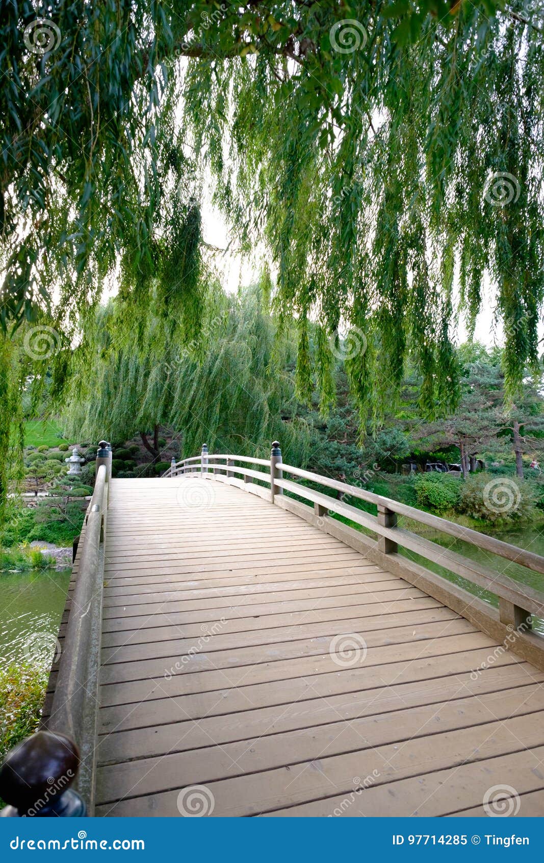 Wooden bridge with trees stock image. Image of path, nature - 97714285