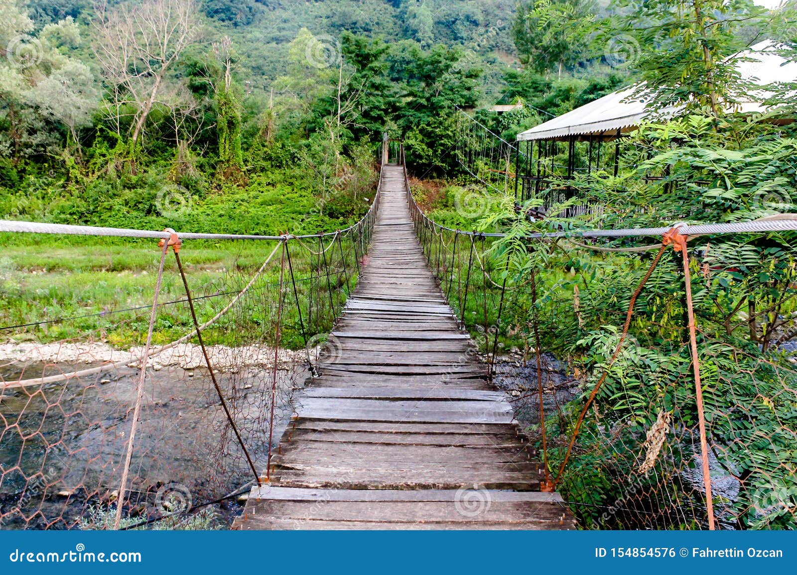 Wooden Bridge in Tropical Rain Forest Stock Photo - Image of danger ...