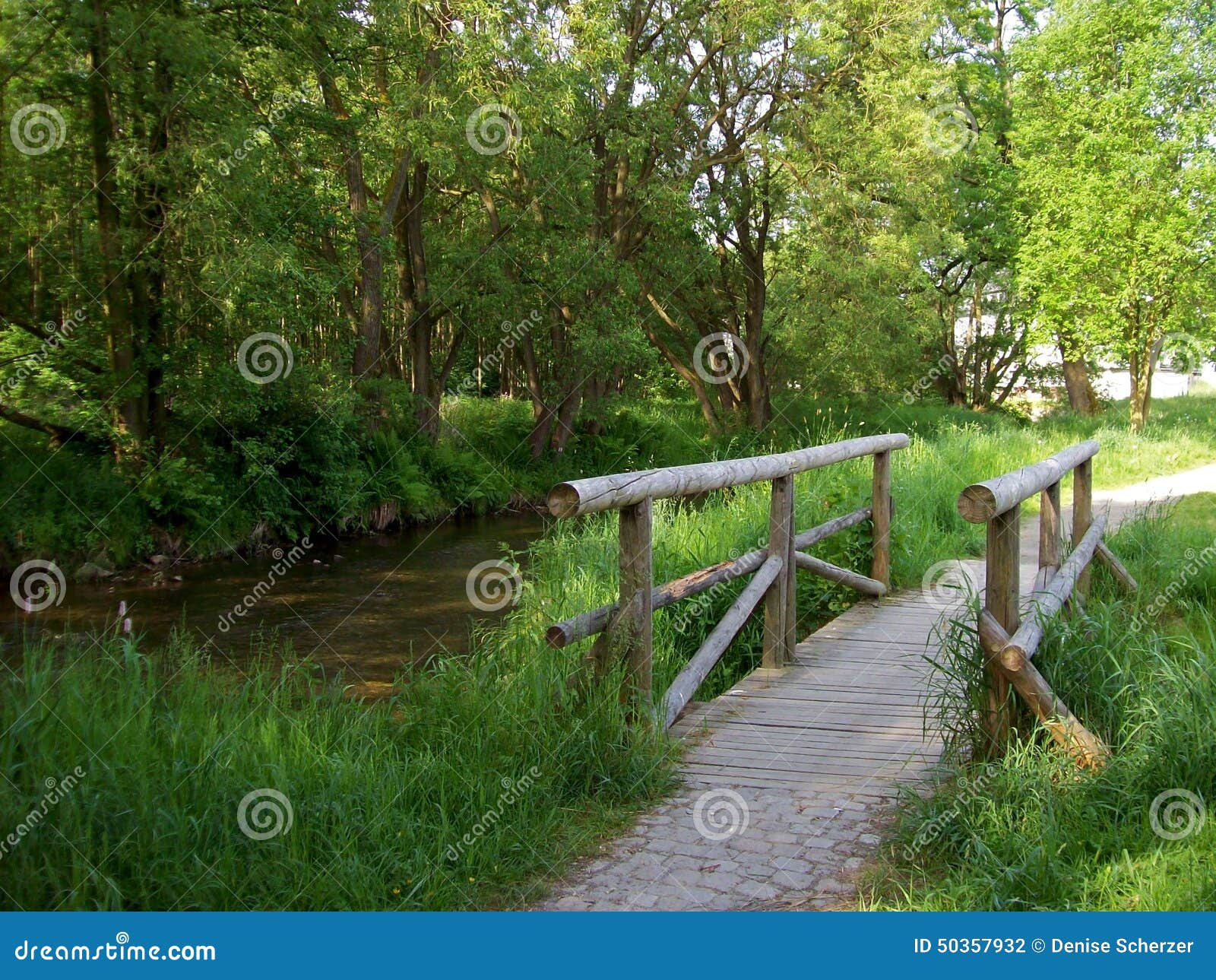 Wooden bridge stock photo. Image of nature, green, river - 50357932