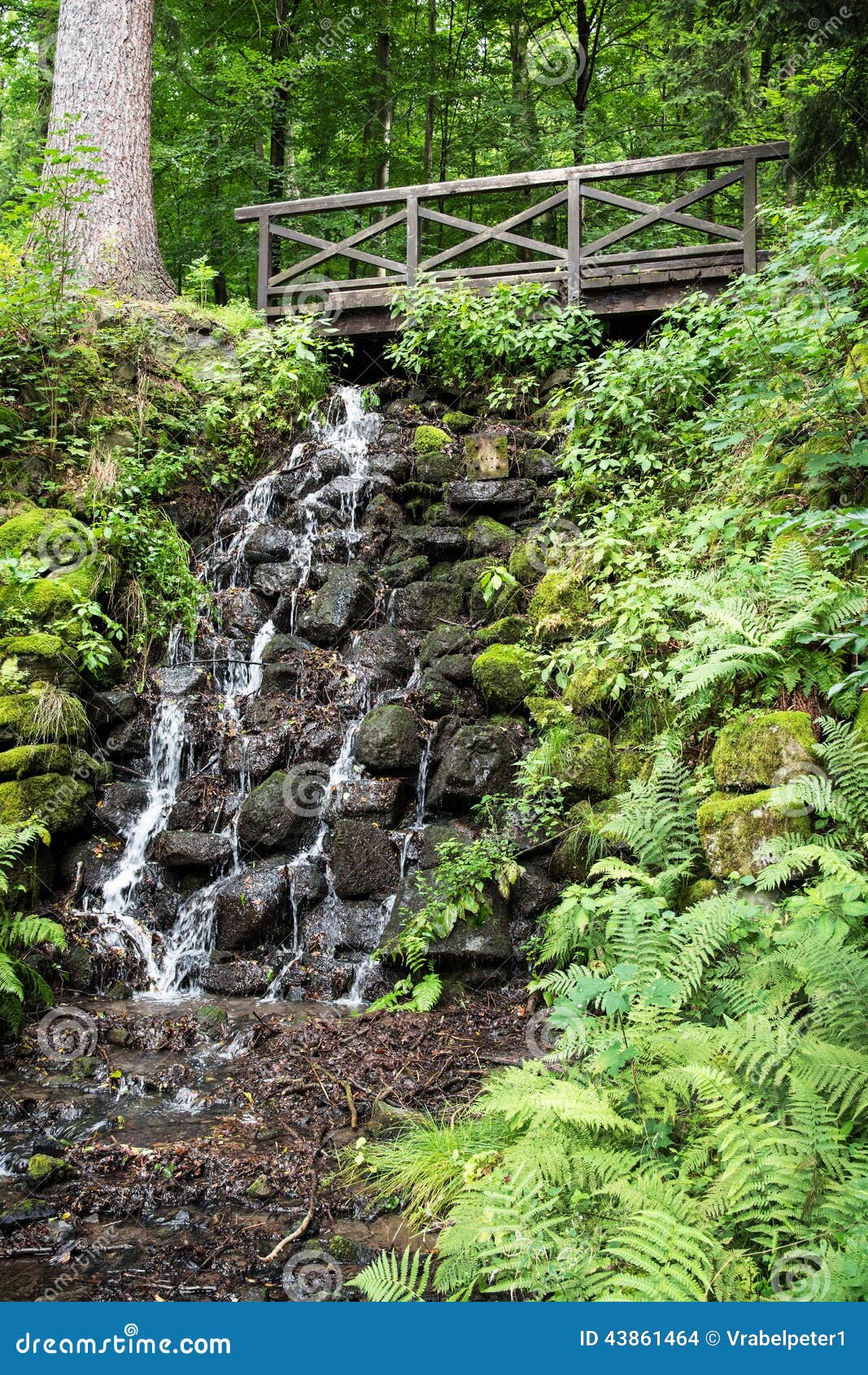 Wooden Bridge and Waterfall Stock Photo - Image of outdoors ...