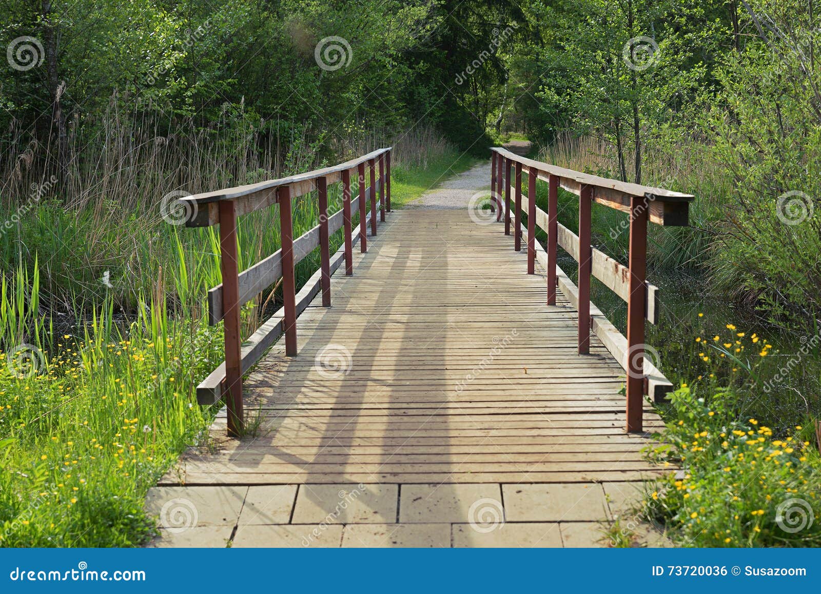 Wooden Bridge Wetlands Stock Photos - Download 432 Royalty Free Photos