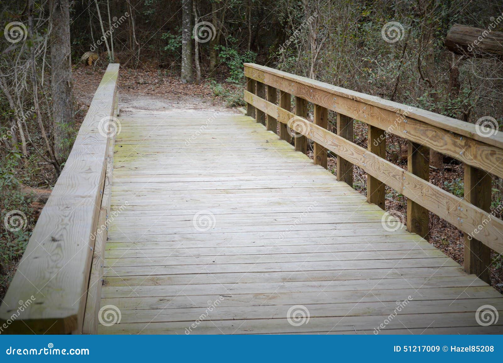 Wooden bridge stock image. Image of walkway, path, branch - 51217009