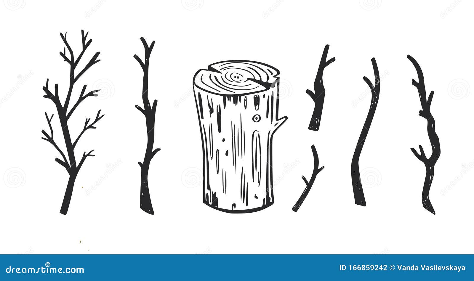 Wooden Brunches and Forest Element of Tree. Vector Hand Drawn Stock ...