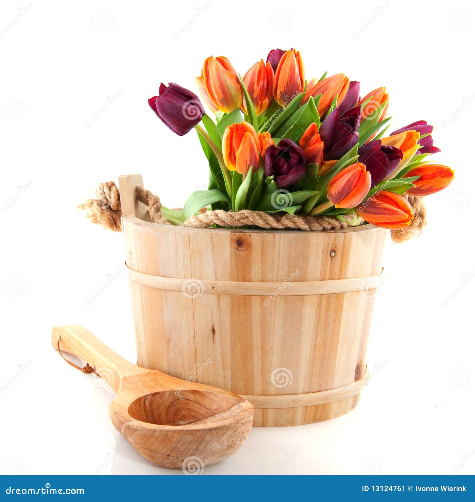 Wooden Bucket Full of Tulips Stock Image - Image of purple, bouquet ...