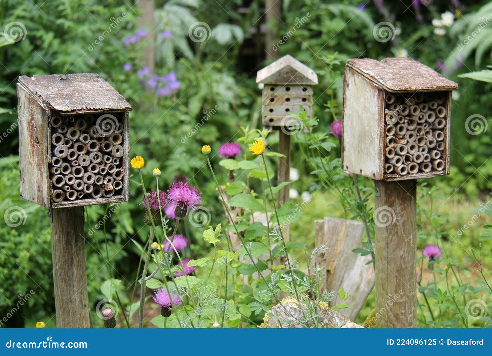 Wooden Bug Houses. stock image. Image of wood, wooden - 224096125