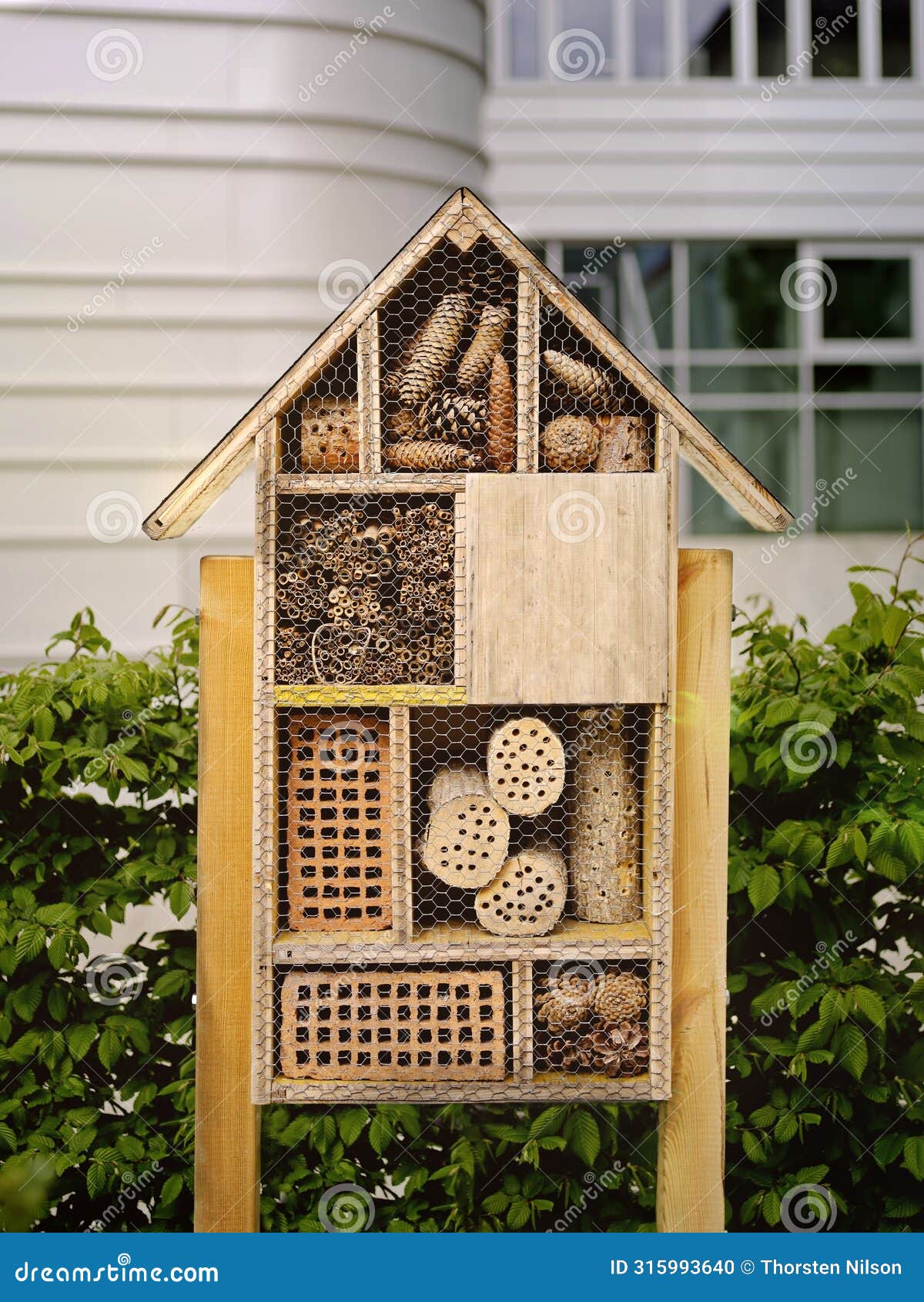 Wooden Bug Insect House Hotel in Public Park. Stock Photo - Image of ...