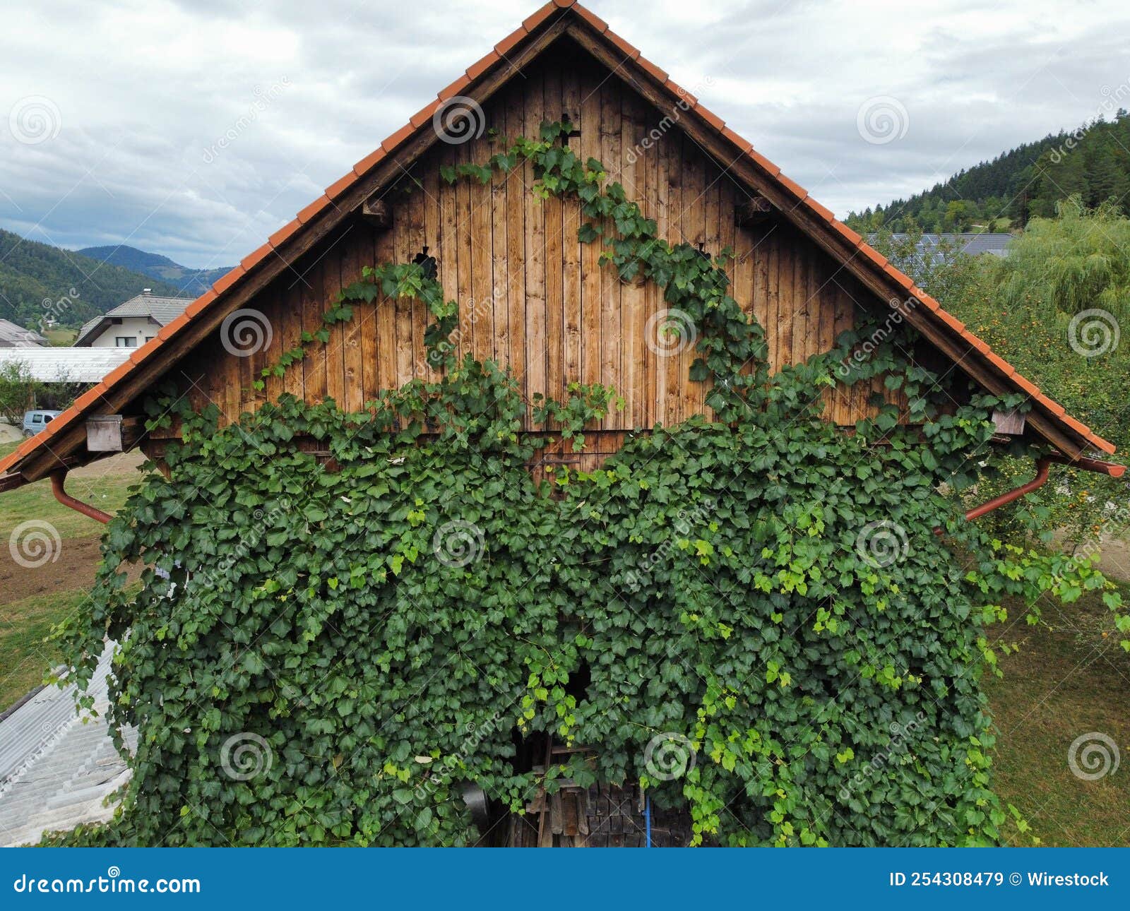 Wooden Cabin Covered with Green Plants Stock Image - Image of tourism ...