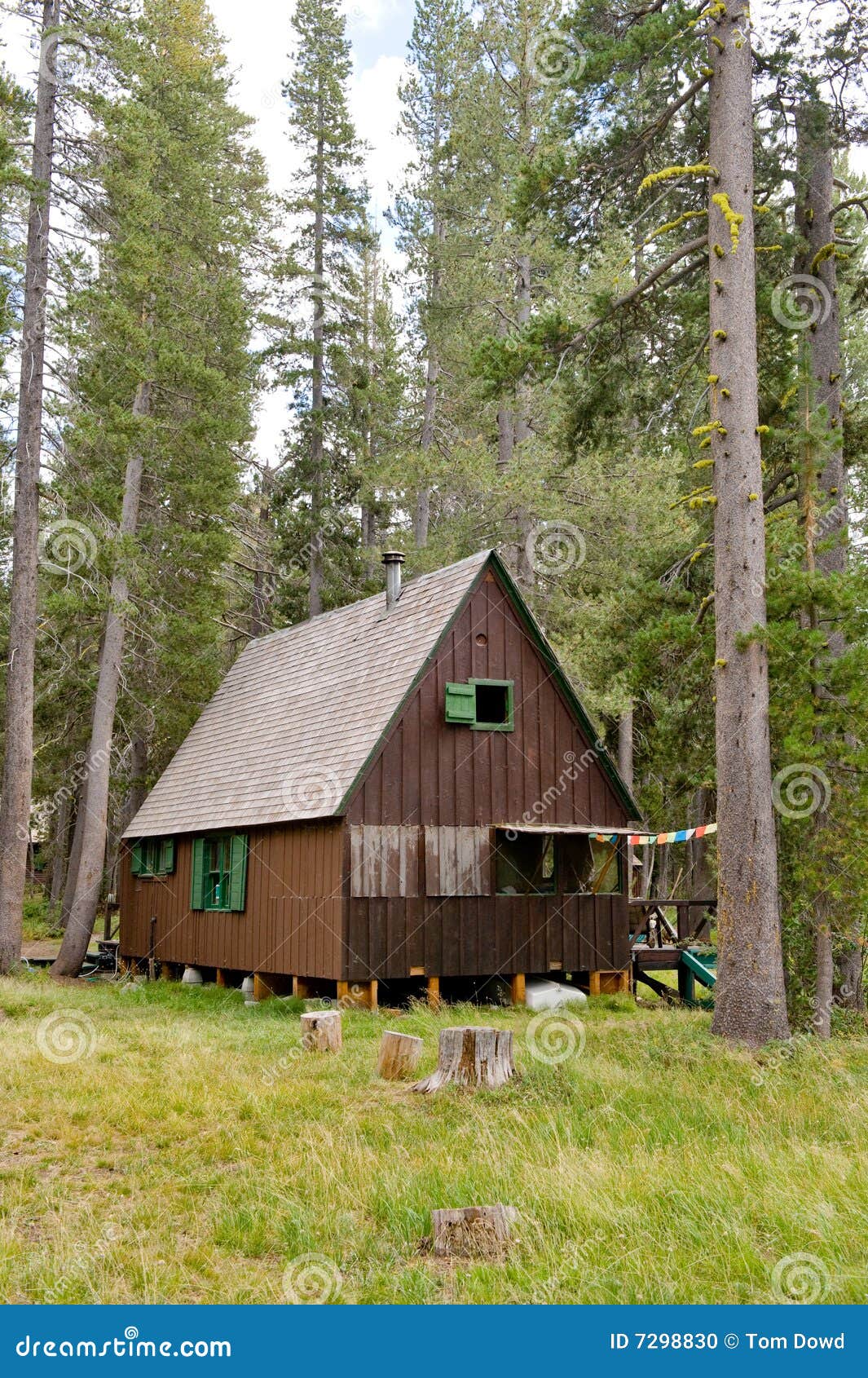 Wooden cabin in forest stock photo. Image of forestry - 7298830