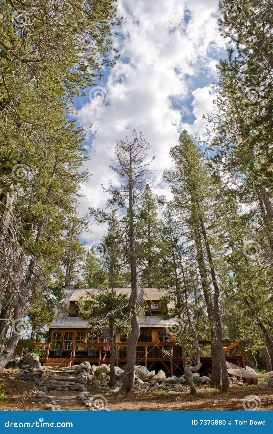Wooden Cabin in Scenic Forest Stock Photo - Image of secluded, angle ... Wooden Cabin in Scenic Forest Stock Photo - Image of secluded, angle ...