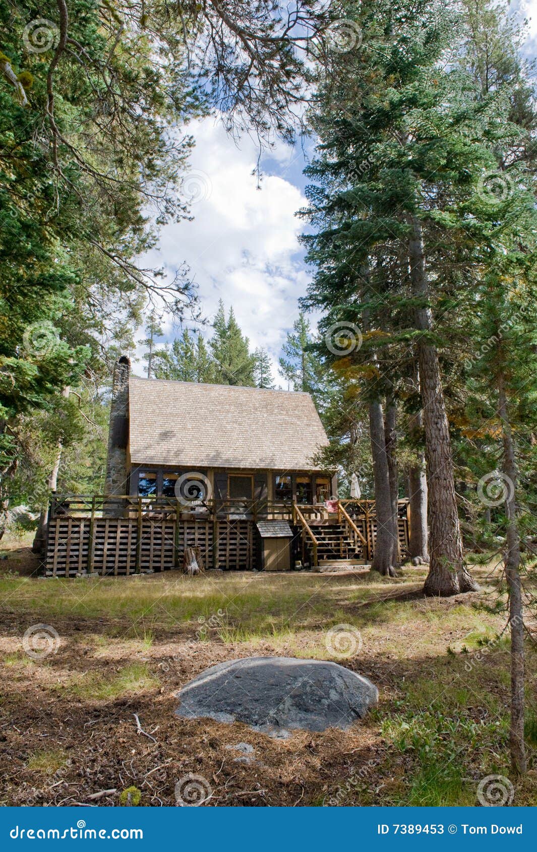 Wooden Cabin in Scenic Forest Stock Image - Image of residence ...