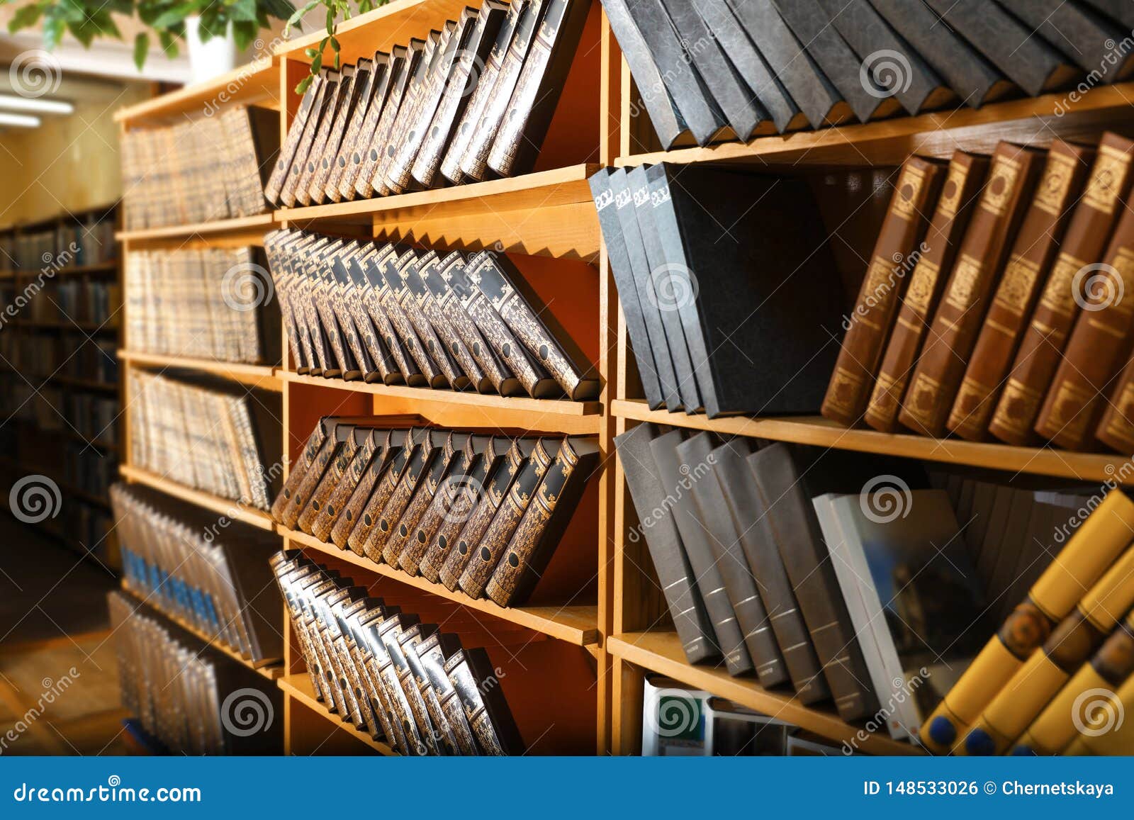 Wooden Cabinets with Collection of Books Stock Photo - Image of educate ...