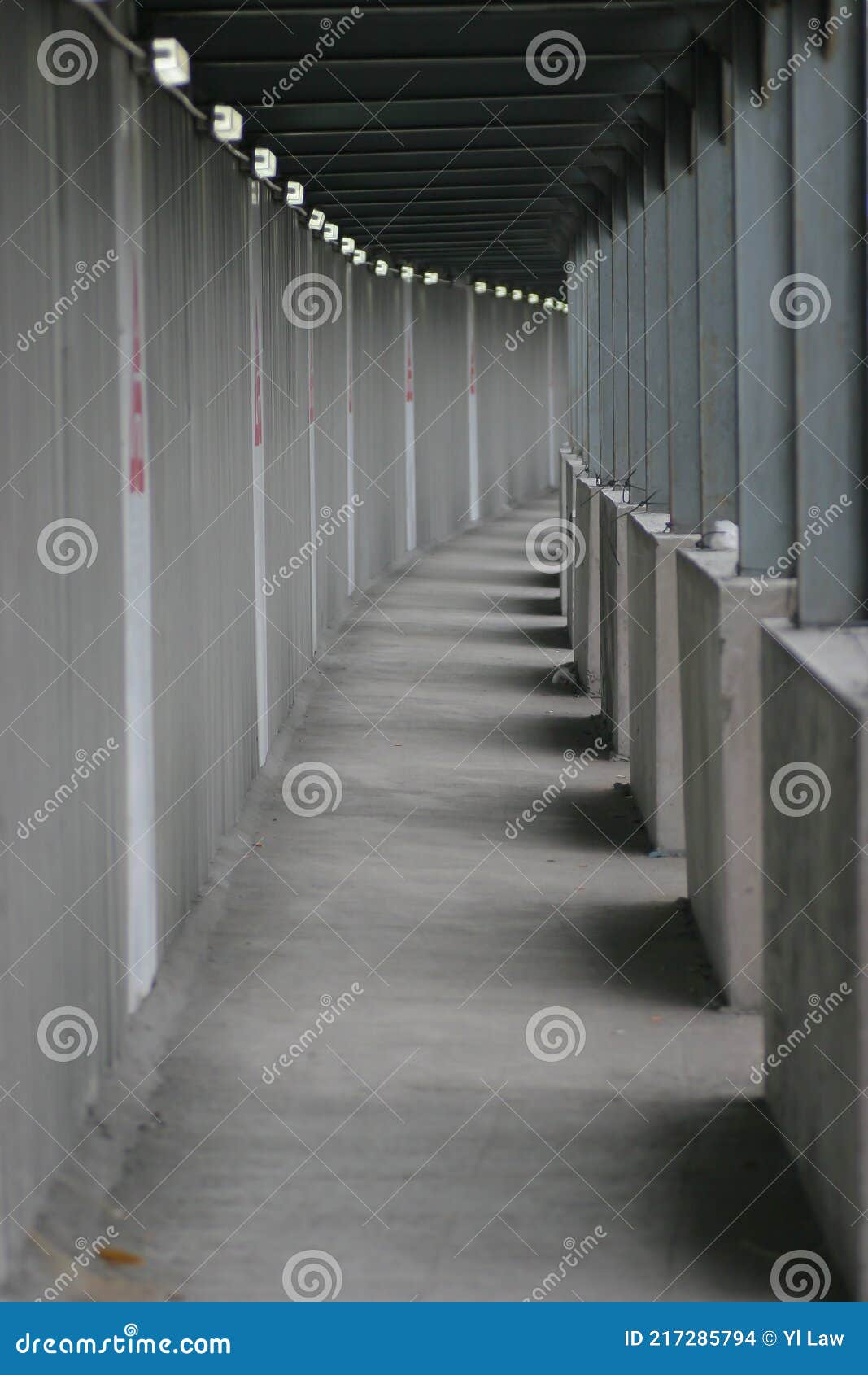 The Wooden Canopy on the Construction Site 10 April 2005 Editorial ...