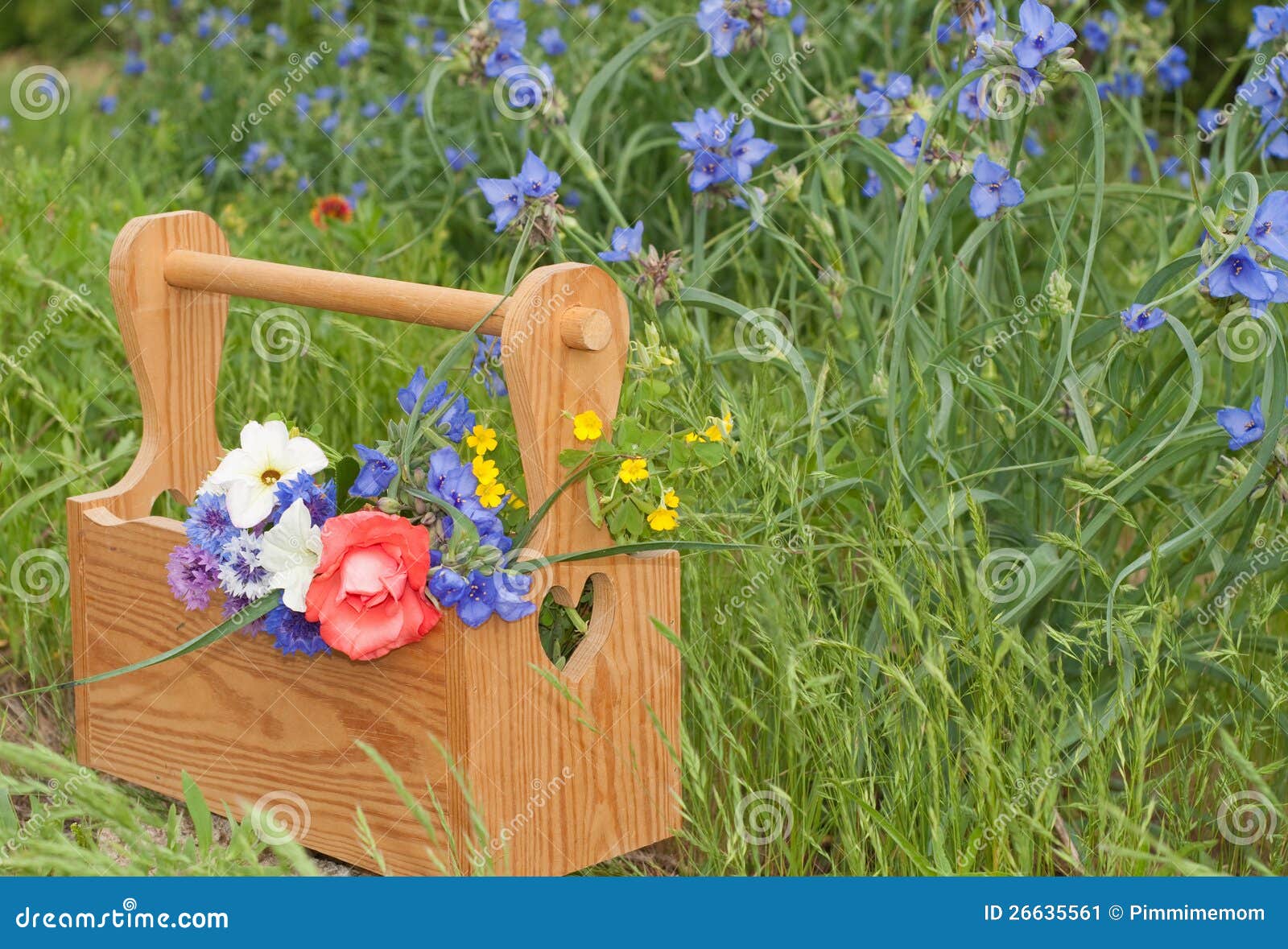 Wooden Carrier Box with Spring Flowers Stock Image - Image of copy ...