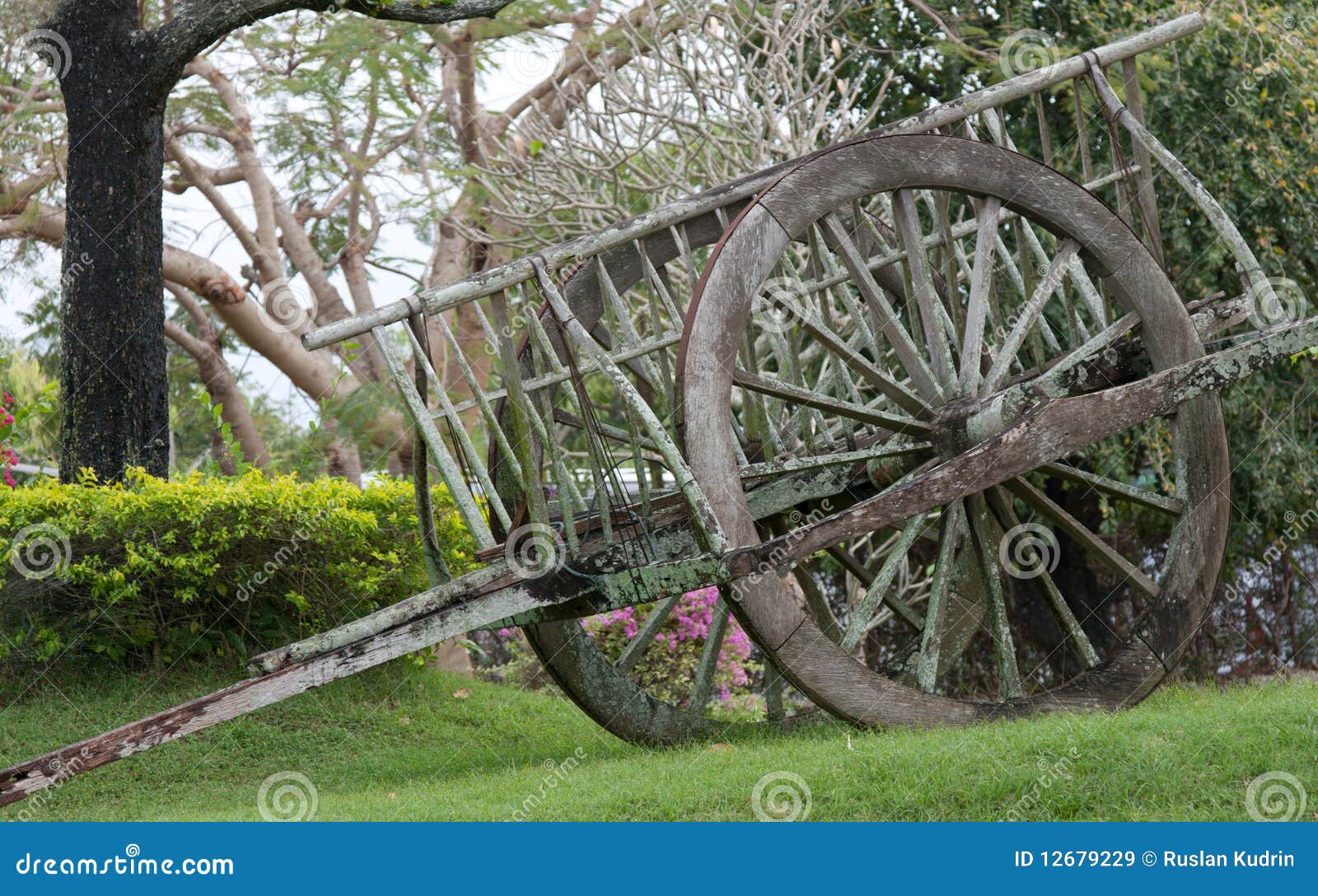 Wooden cart stock image. Image of formal, grass, rural - 12679229