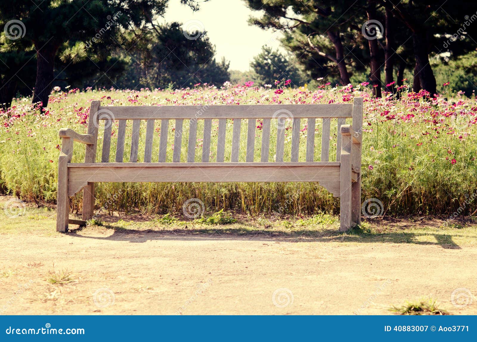 Wooden chairs stock image. Image of chairs, architecture - 40883007
