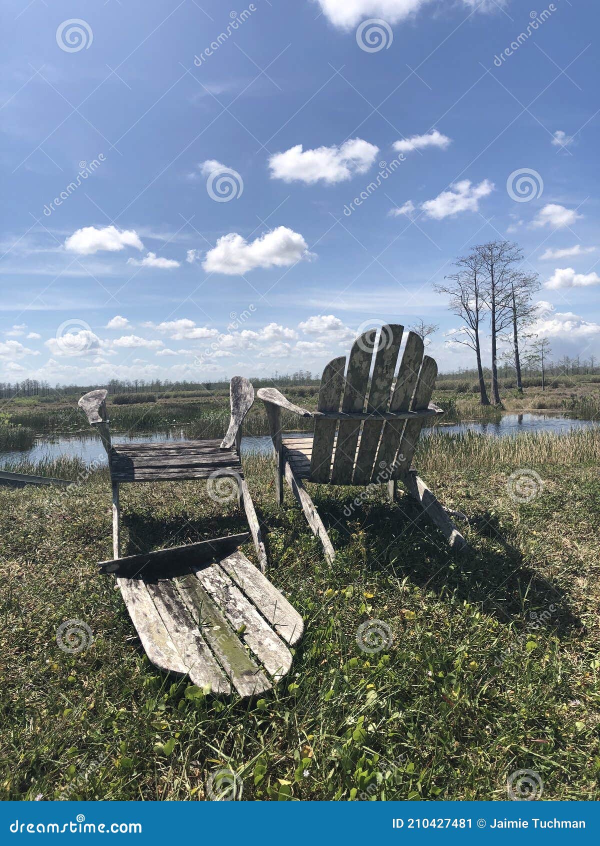 Chairs And Marsh Royalty-Free Stock Photography | CartoonDealer.com ...