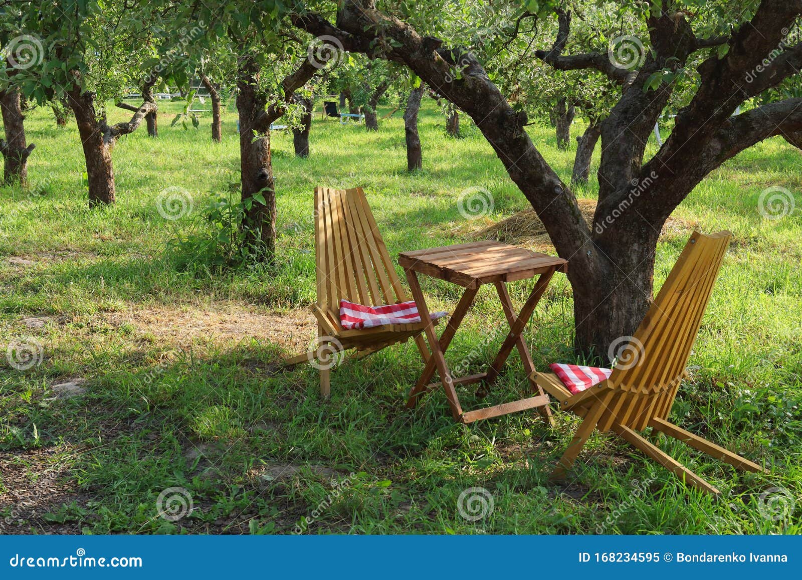 Wooden Chairs and Table Under Tree in a Beautiful Garden Stock Image ...