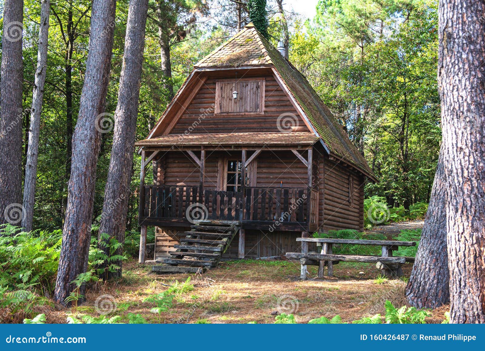 Wooden Chalet in the Forest Stock Image - Image of estate, holiday ...
