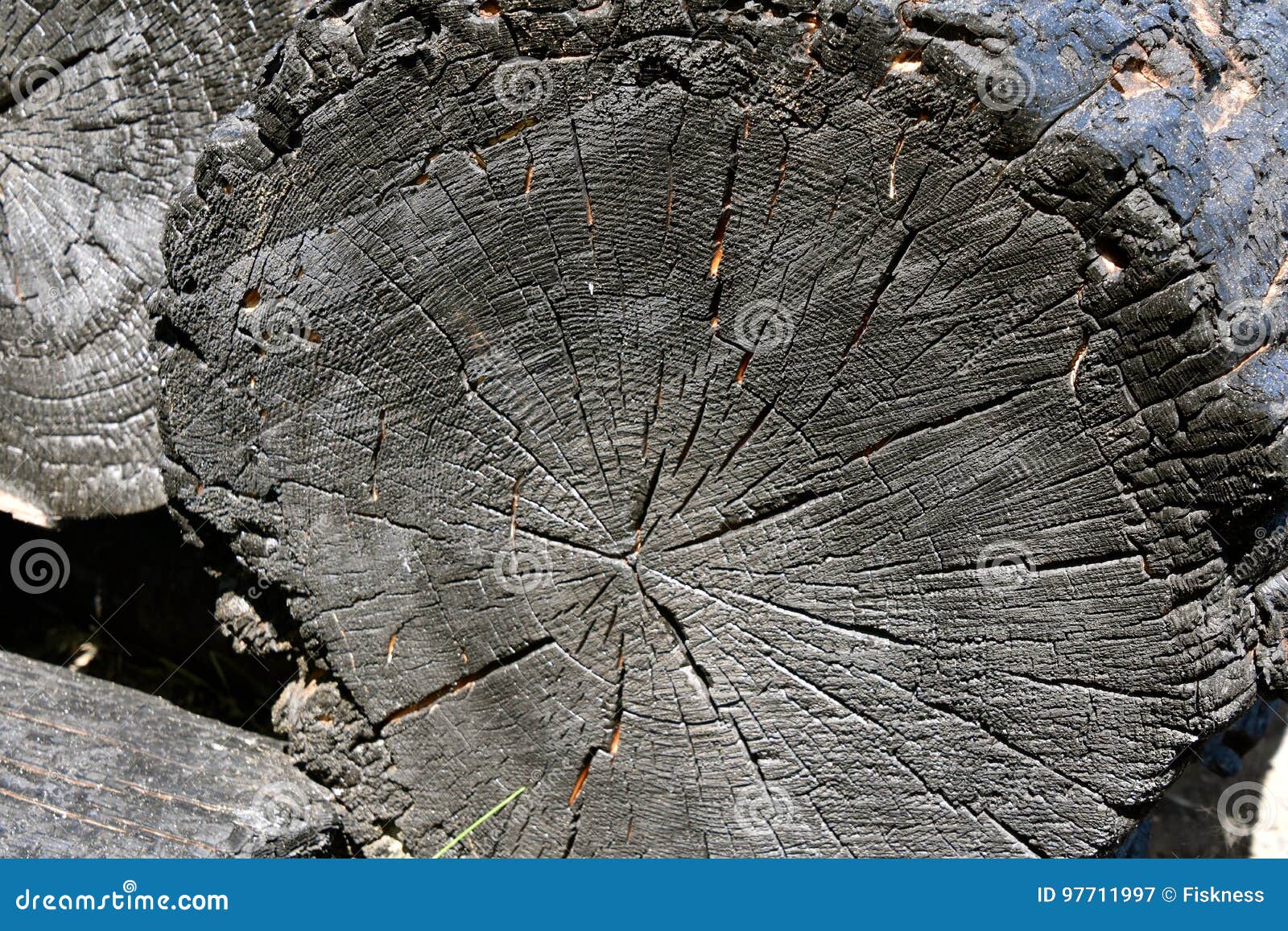 Wooden Charred Logs after a Fire Stock Image - Image of charred, bark ...