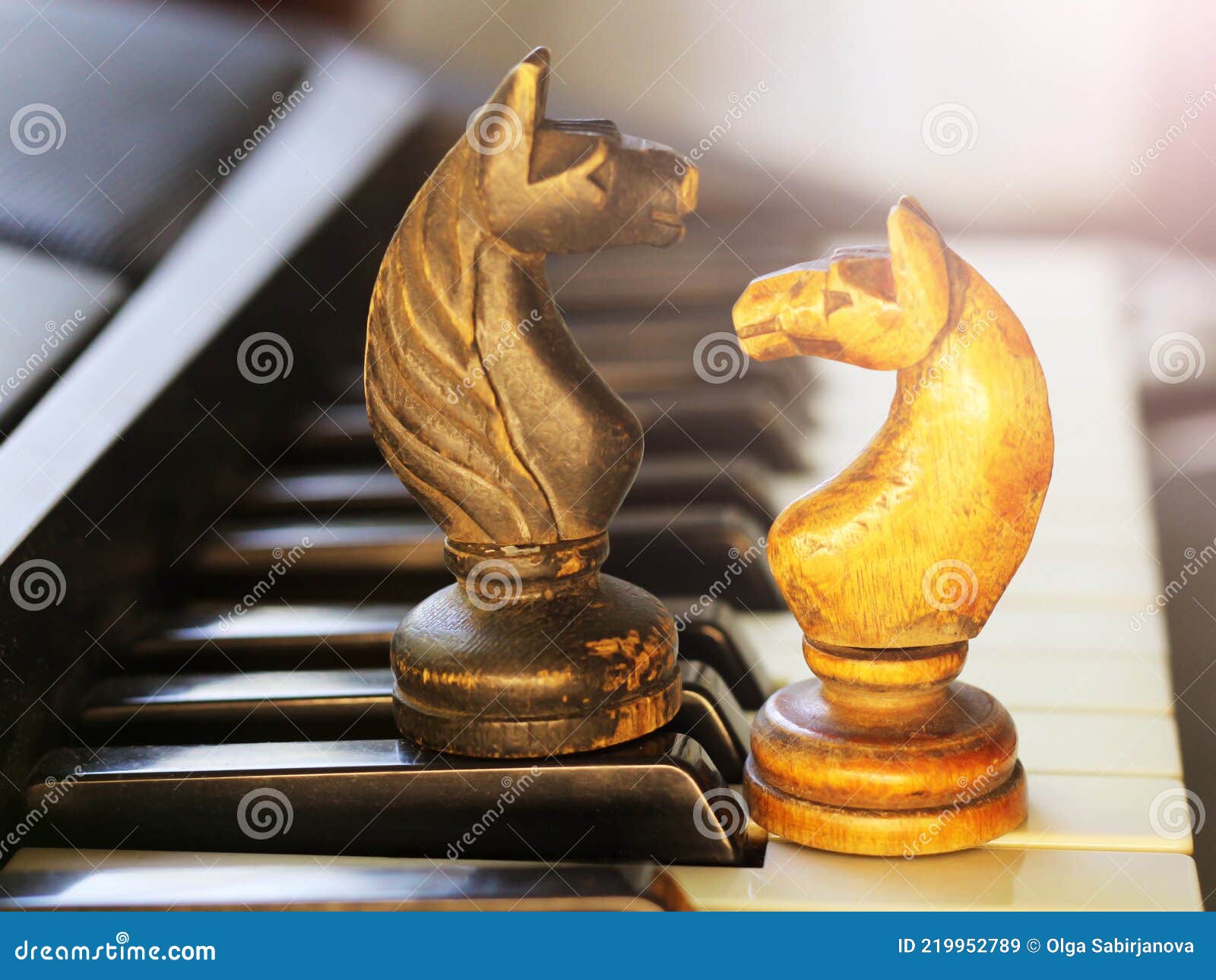 Two Pieces Horses Chess on Piano Keys so Close Stock Image - Image of ...
