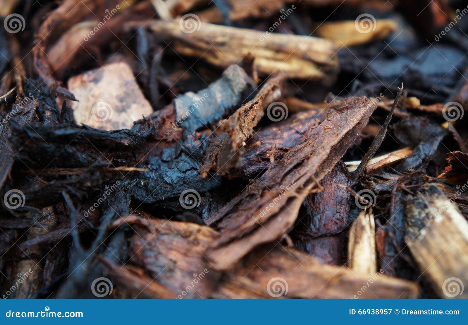Wooden chips stock image. Image of chips, branches, nature - 66938957
