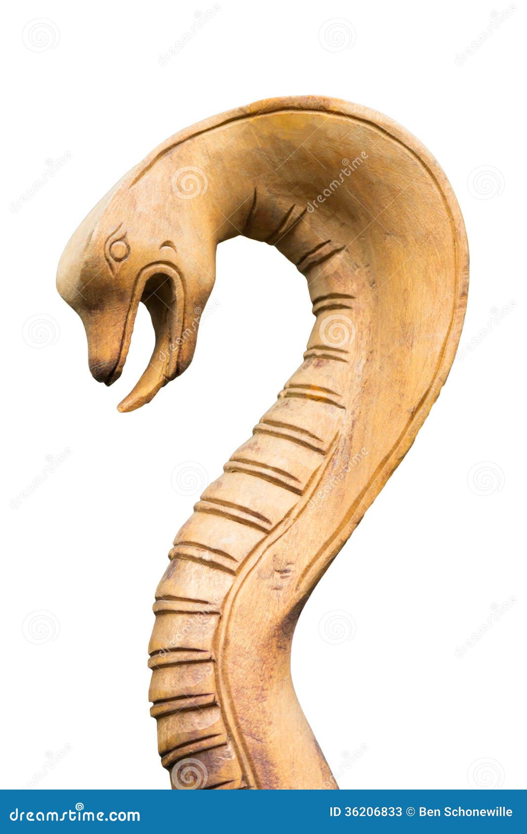 Cobra Carved On Wall Ranganathaswamy Temple In 9th Century.Vaishnavite ...