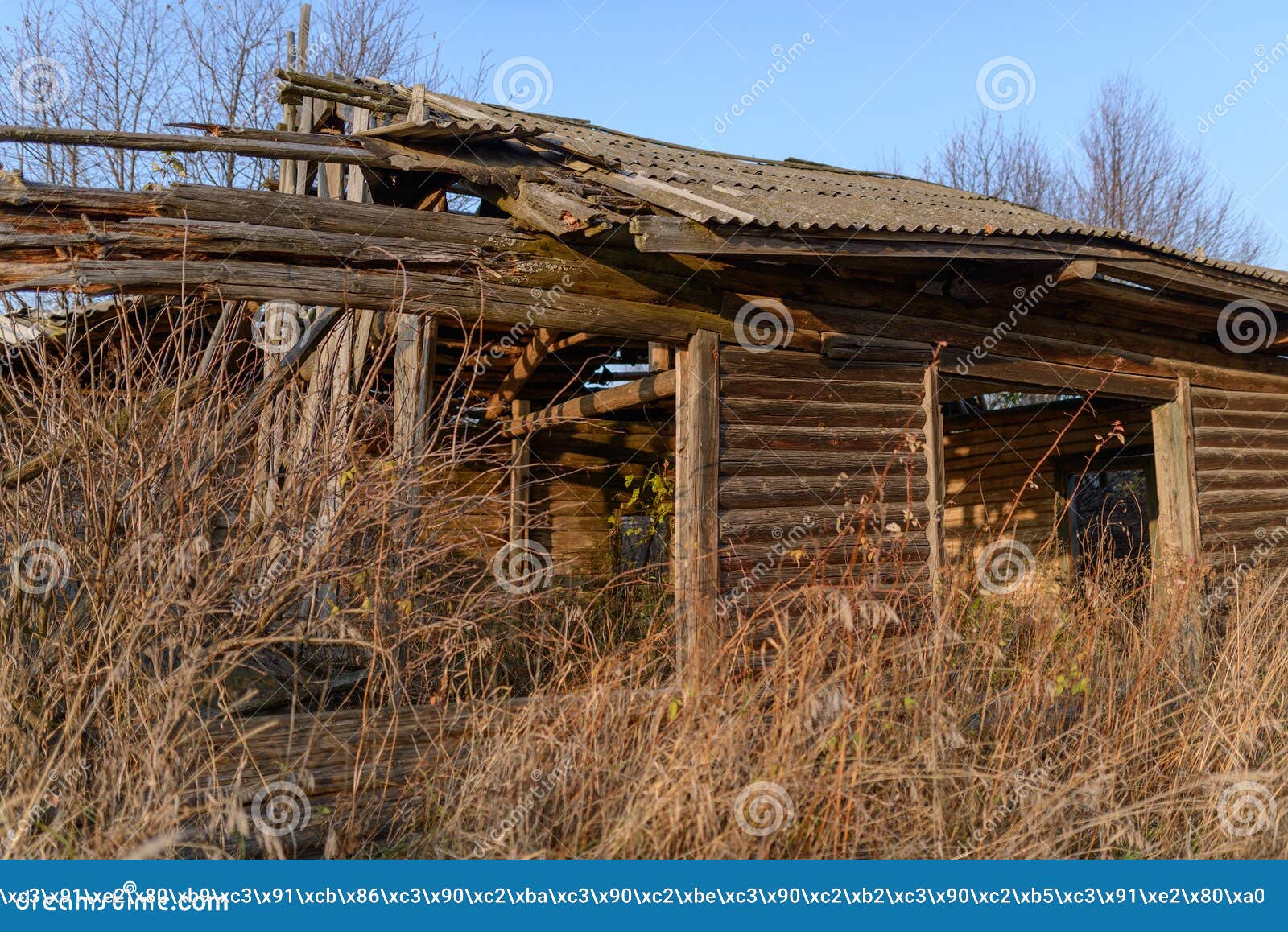 Wooden Collapsing Barn in the Village Stock Image - Image of ...