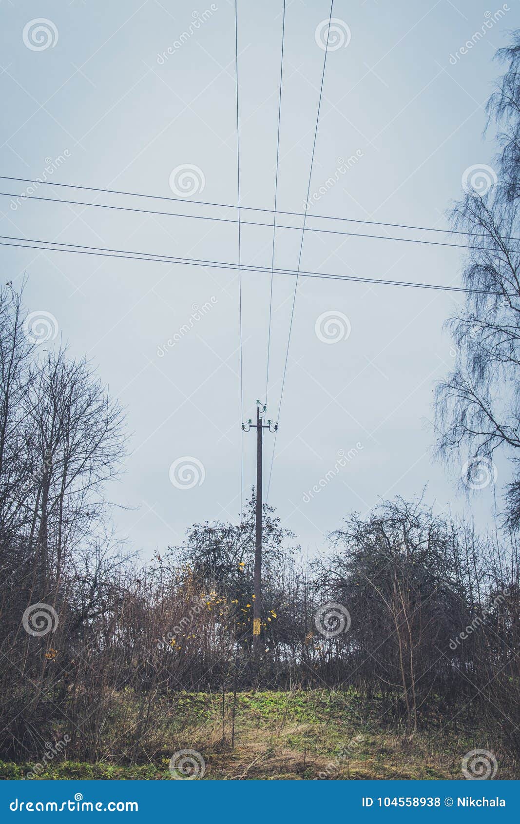 Wooden column power line. stock photo. Image of electric - 104558938