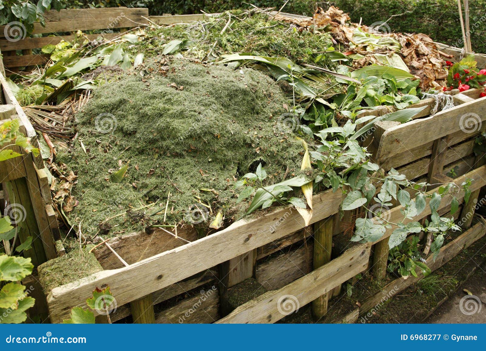 Wooden compost bin stock image. Image of horticulture - 6968277