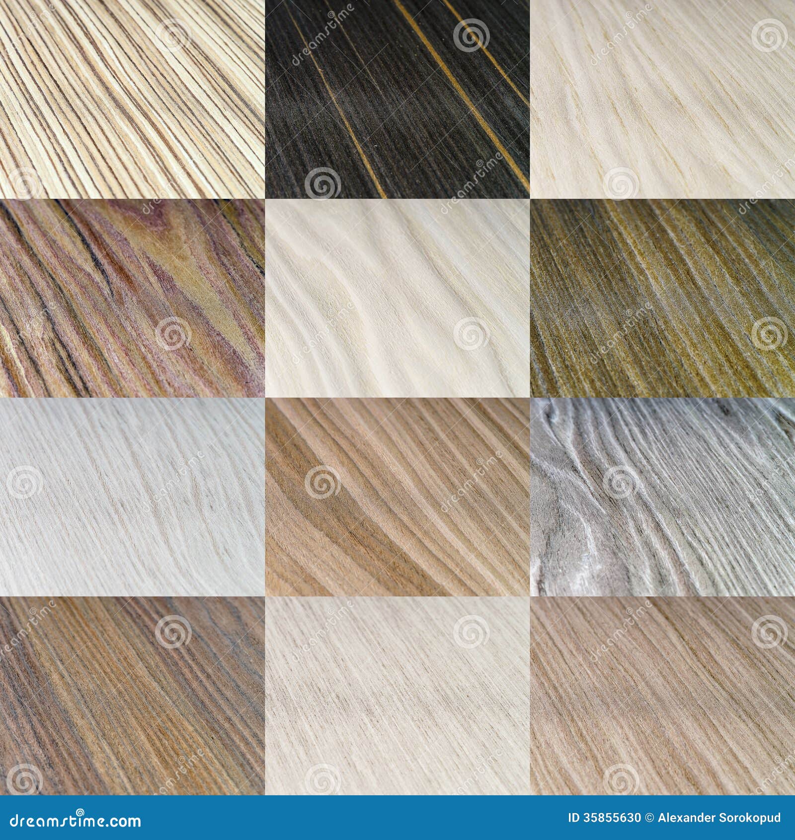 Wooden coverage types set stock photo. Image of flooring - 35855630
