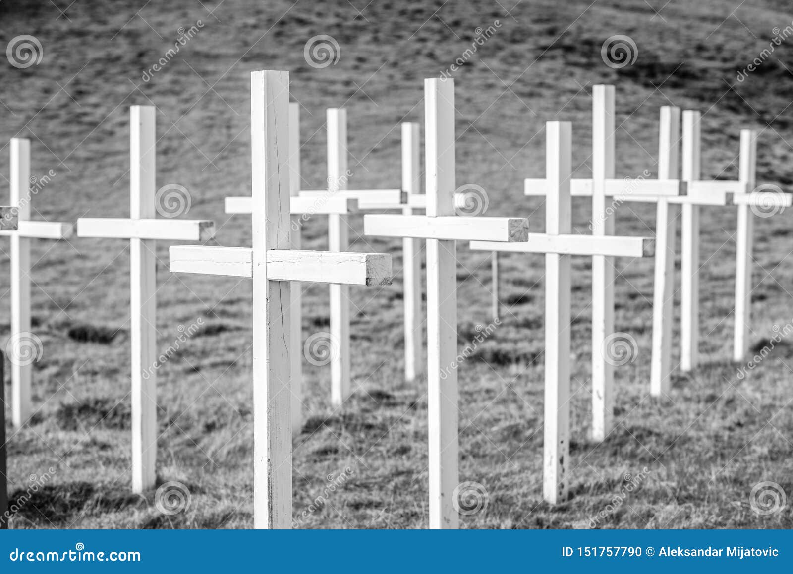 Wooden cross on field stock photo. Image of monochrome - 151757790