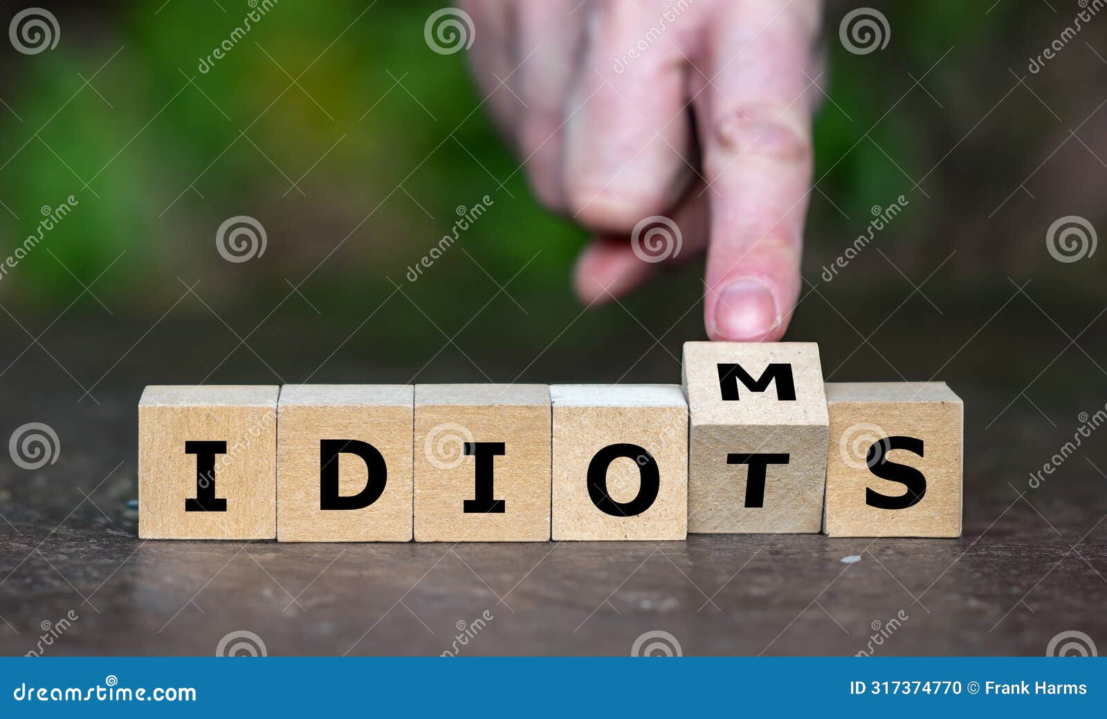 Wooden Cubes Form the Words Idiots and Idioms. Stock Photo - Image of ...