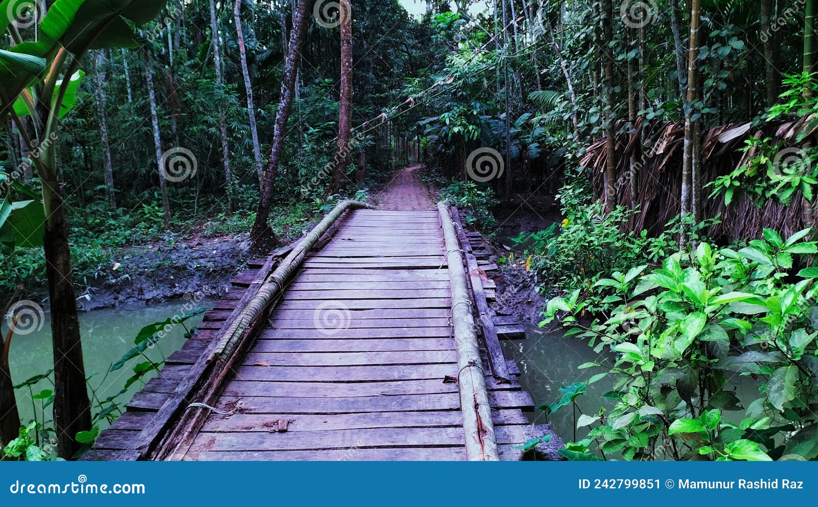 Wooden Culvert on a canal stock image. Image of watercraft - 242799851