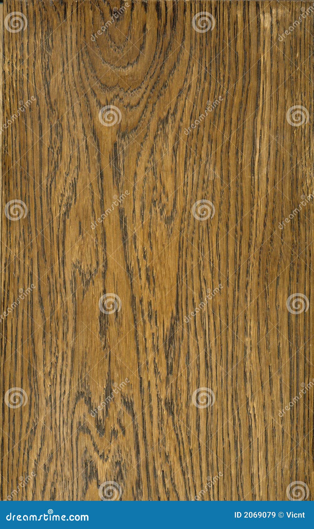 Wooden cut texture stock image. Image of life, annual - 2069079
