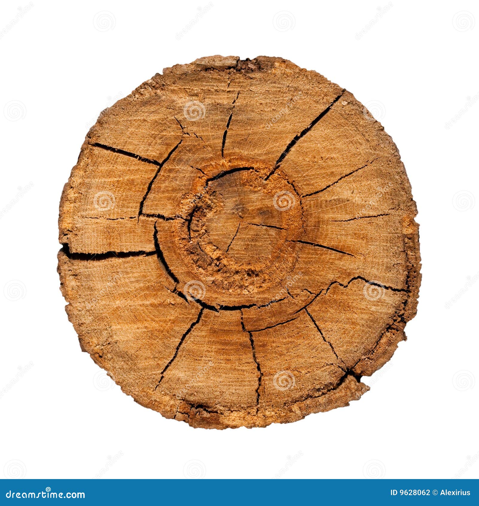 Wooden cut texture stock photo. Image of pattern, close - 9628062