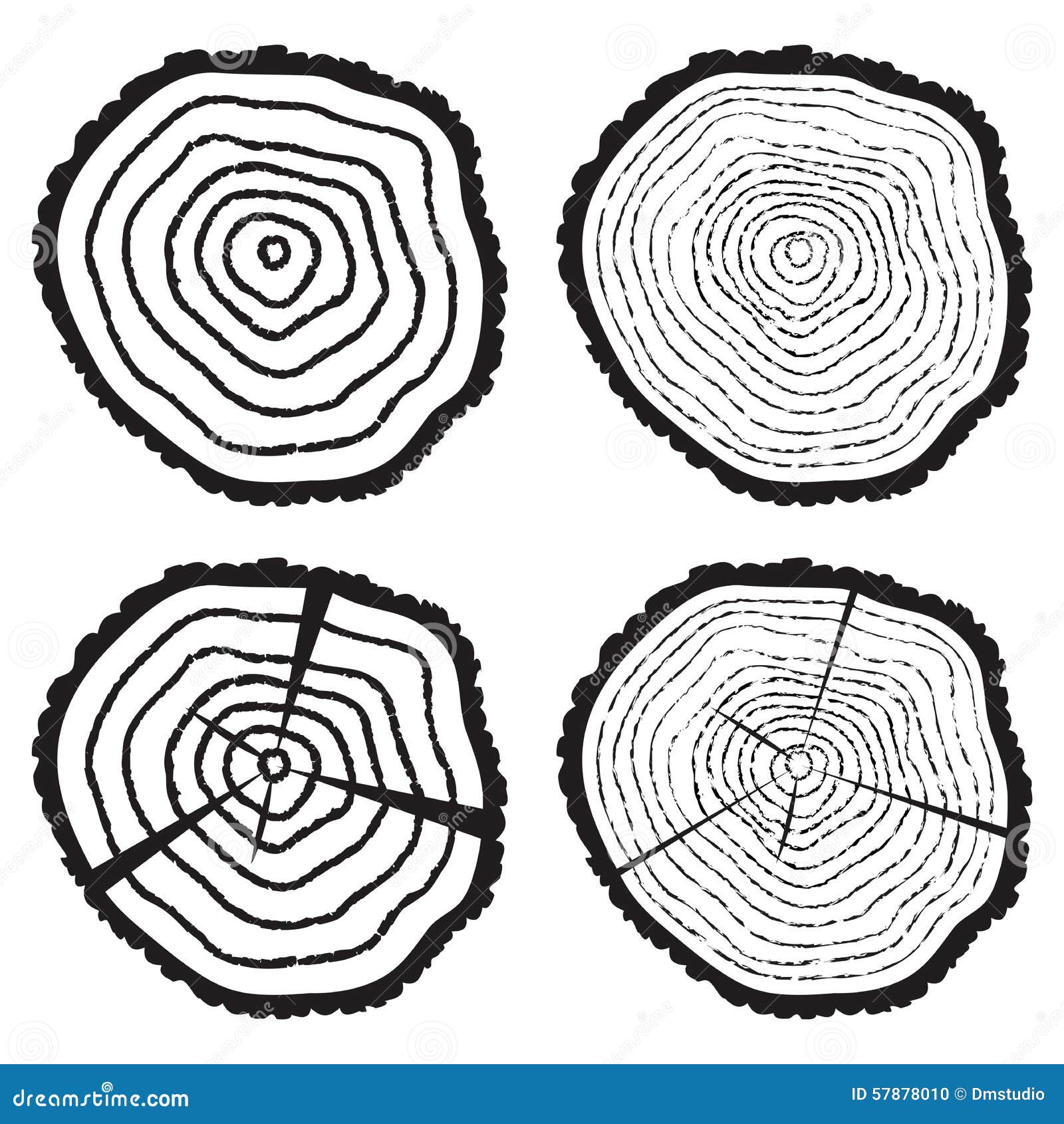 Vector Wooden Cut of a Tree Log Stock Vector - Illustration of dried ...