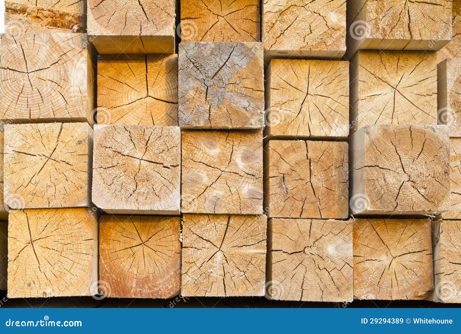 Wooden cuts stock image. Image of post, fence, group - 29294389