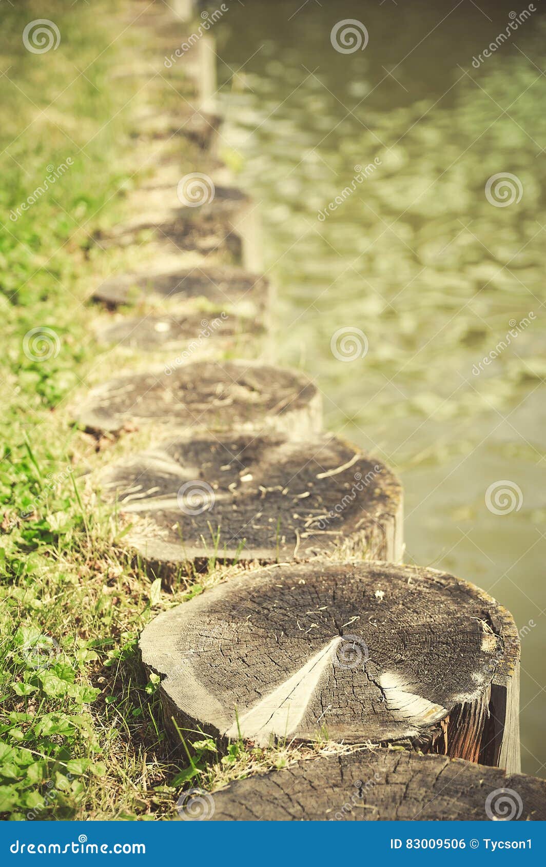 Wooden dam stock photo. Image of black, architecture - 83009506