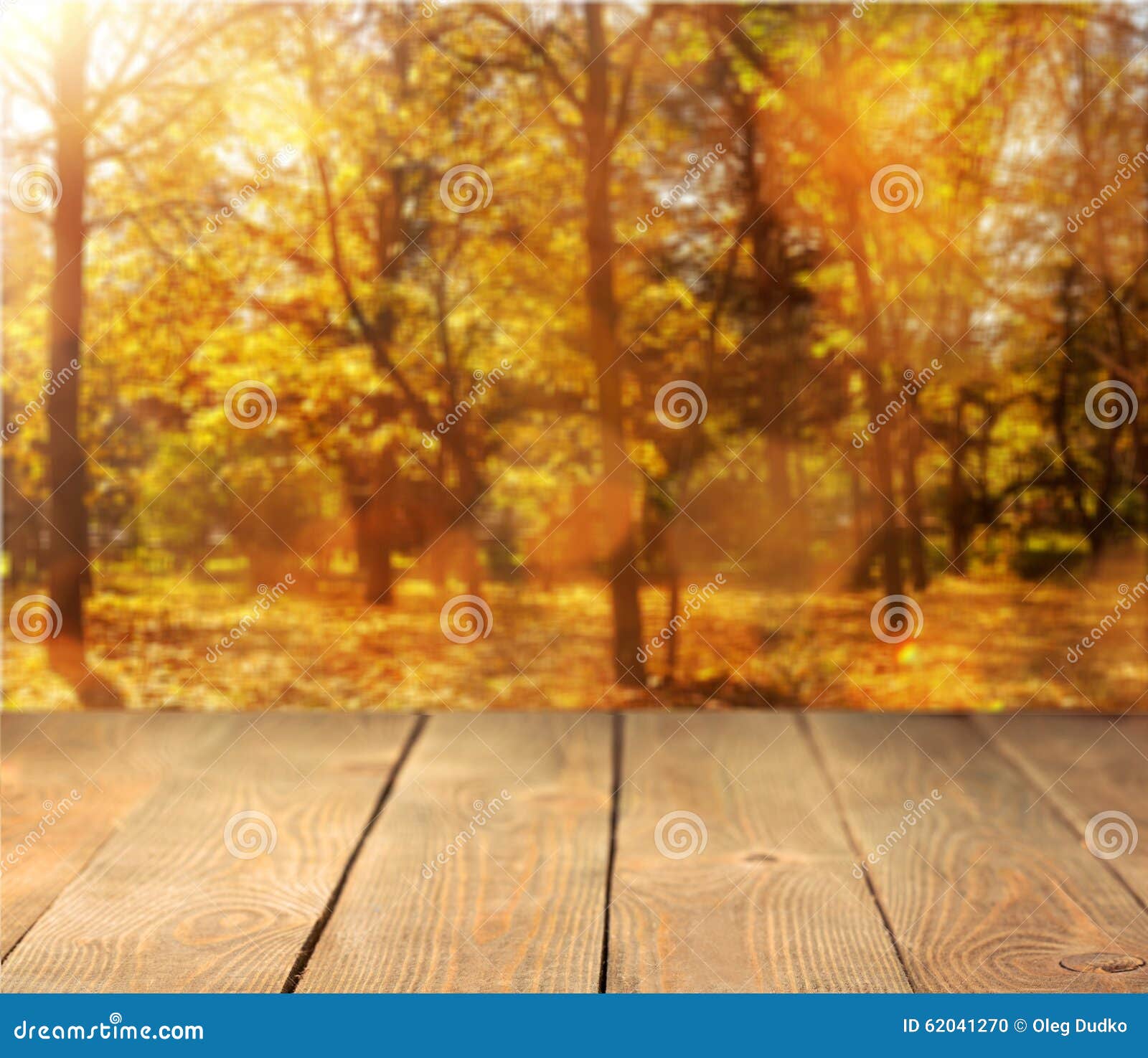 Wooden deck background stock photo. Image of sunny, perspective - 62041270