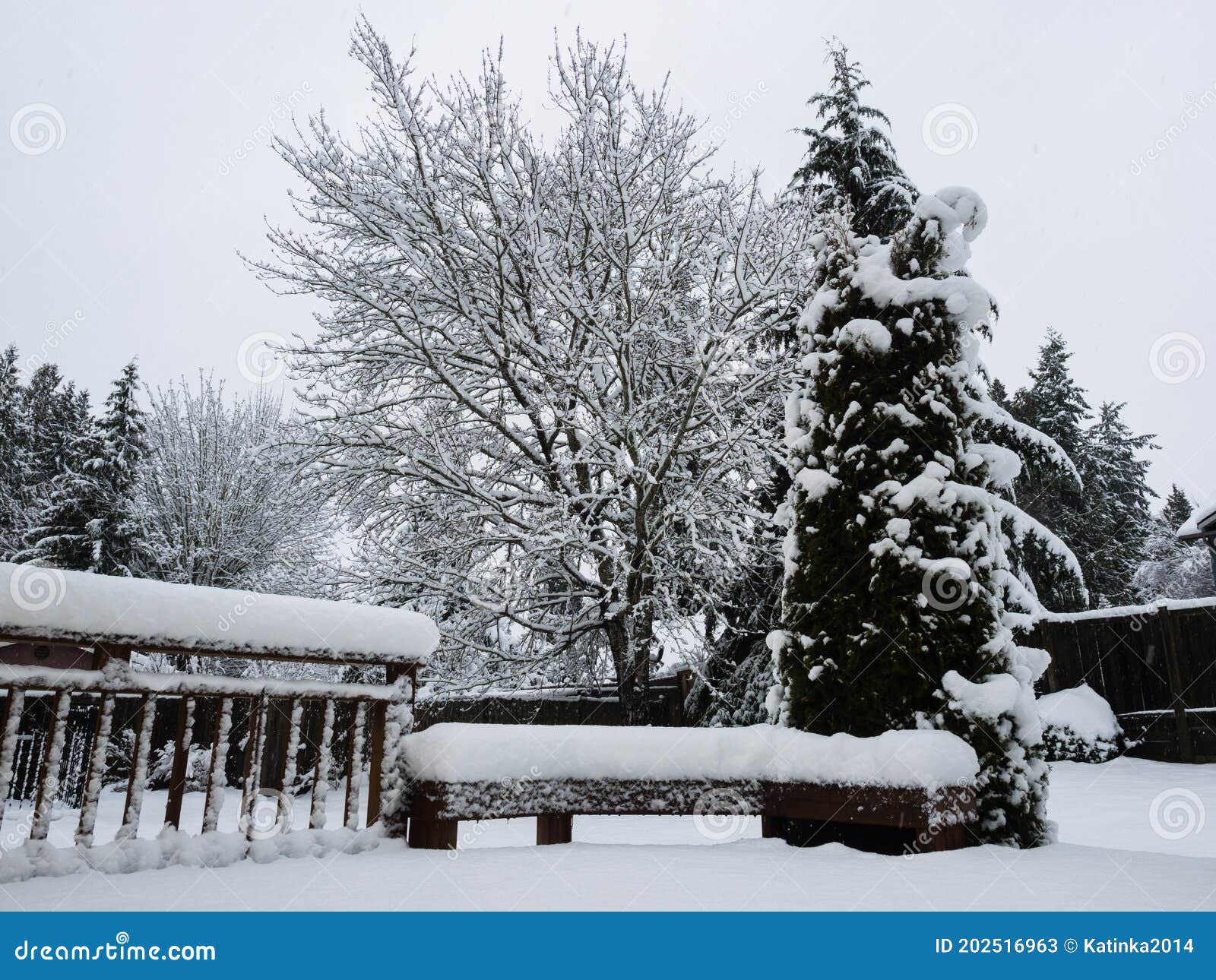 Wooden Bench, Deck and Backyard Covered in Deep Snow Stock Image ...