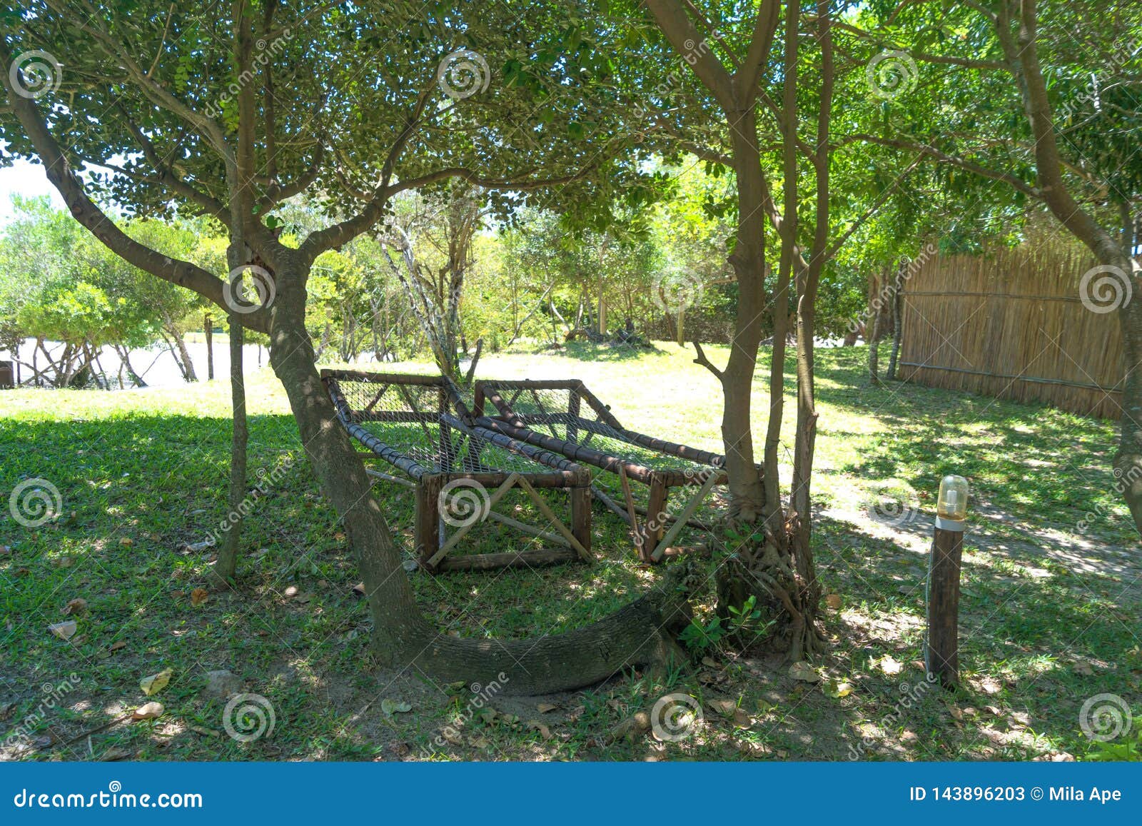 Wooden Deck Chairs Under the Tree Stock Image - Image of beautiful ...