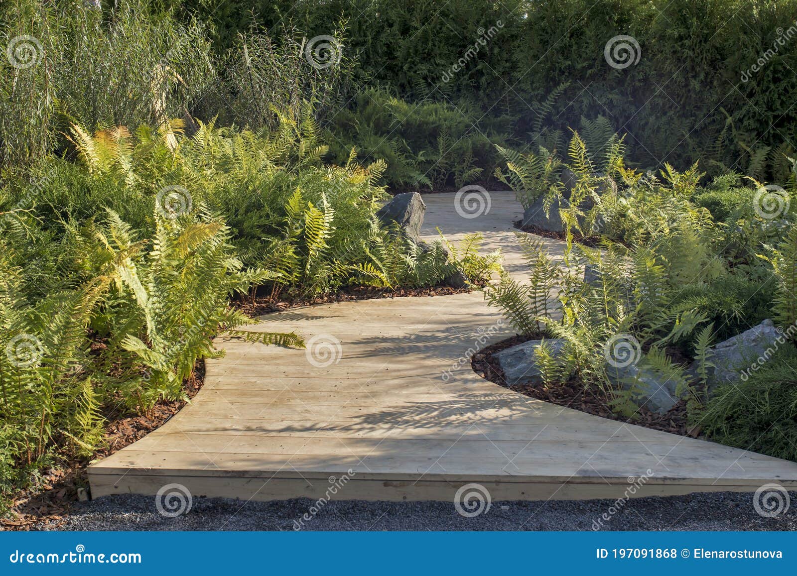 Wooden Deck Laid in the Garden instead of Path in Juniper Thickets ...