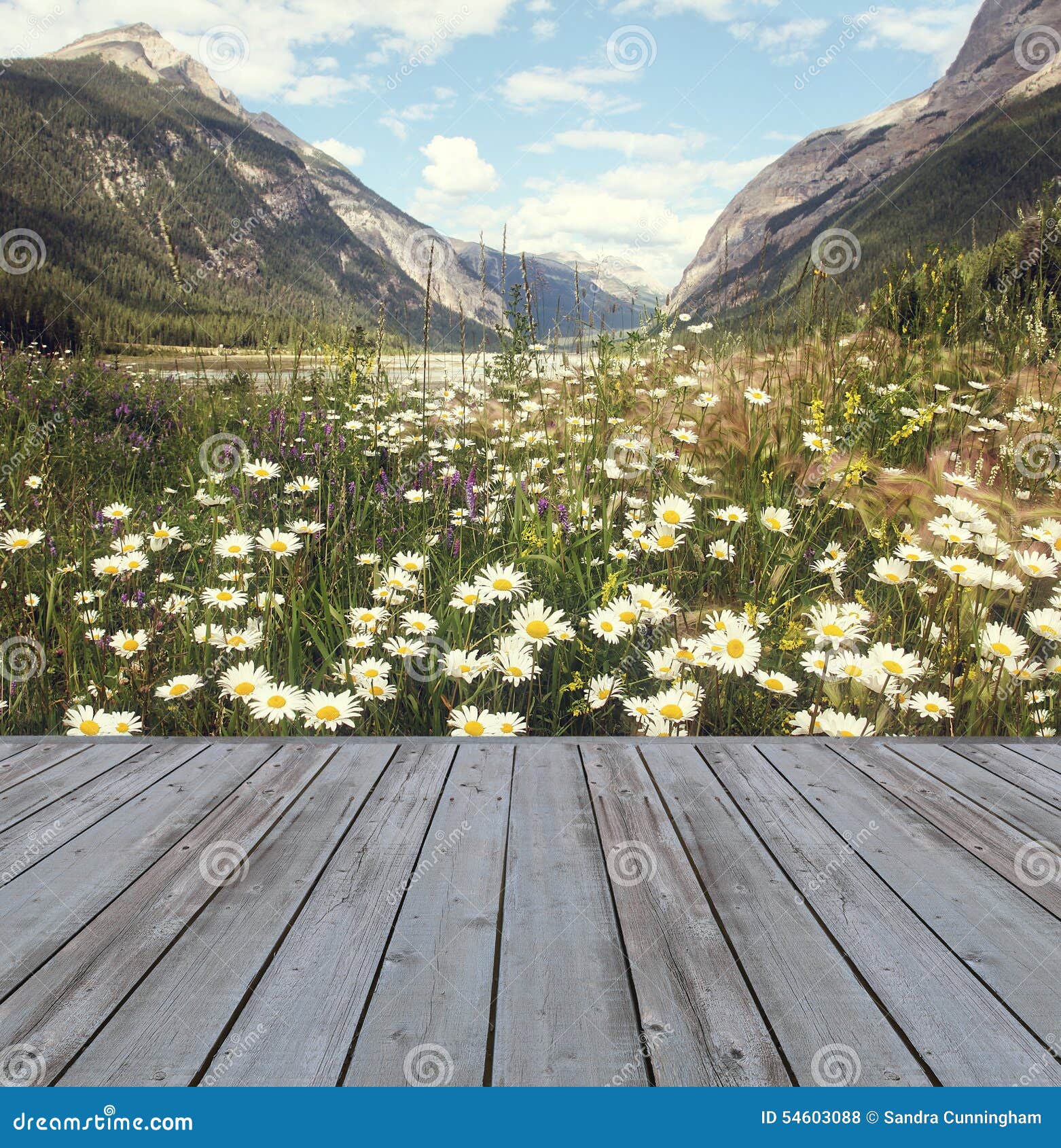 Wooden Deck Overlooking View of Mountains Stock Photo - Image of dock ...