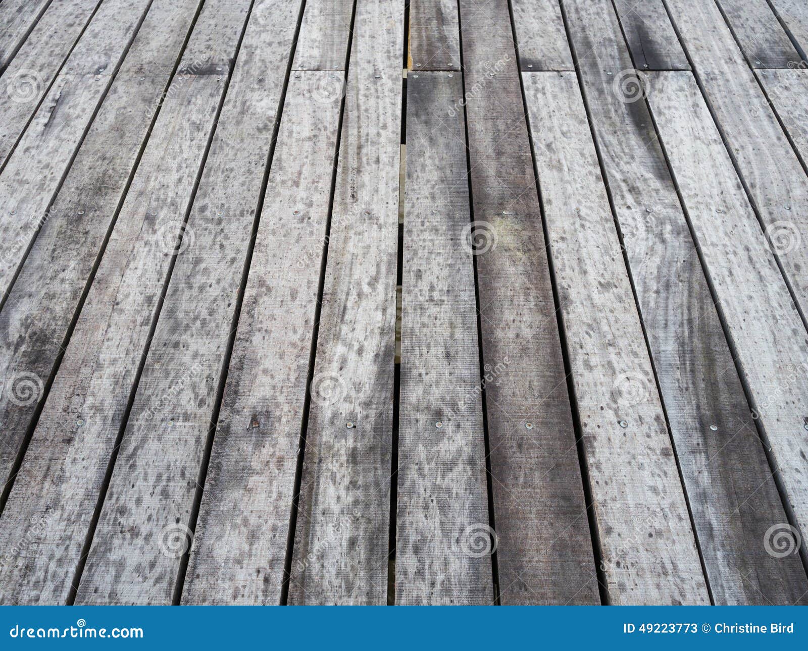 Wooden Decking stock image. Image of textured, rain, wooden - 49223773