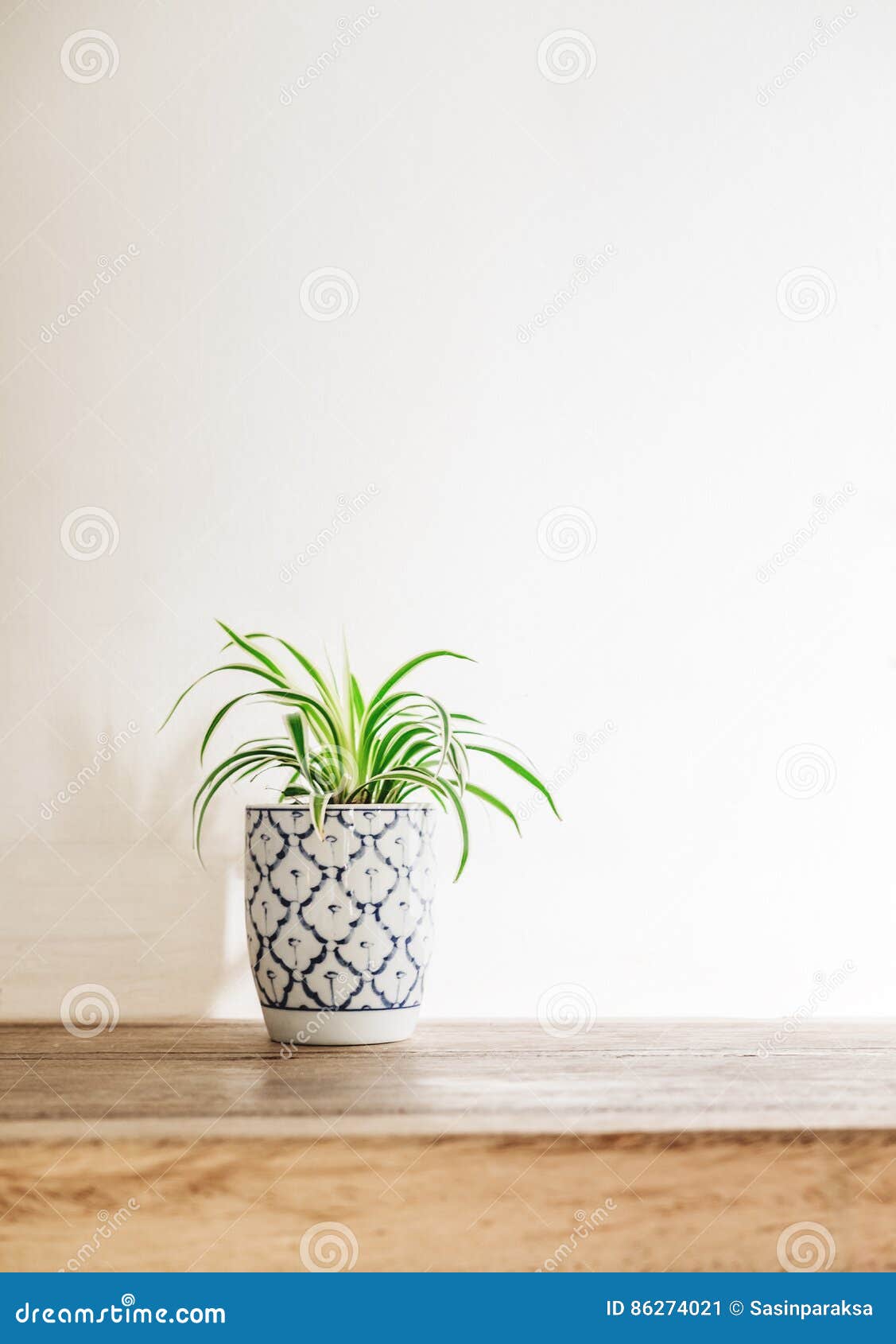 Wooden Desk Table Top with Tree Pot on White Wall, with Copy Space ...