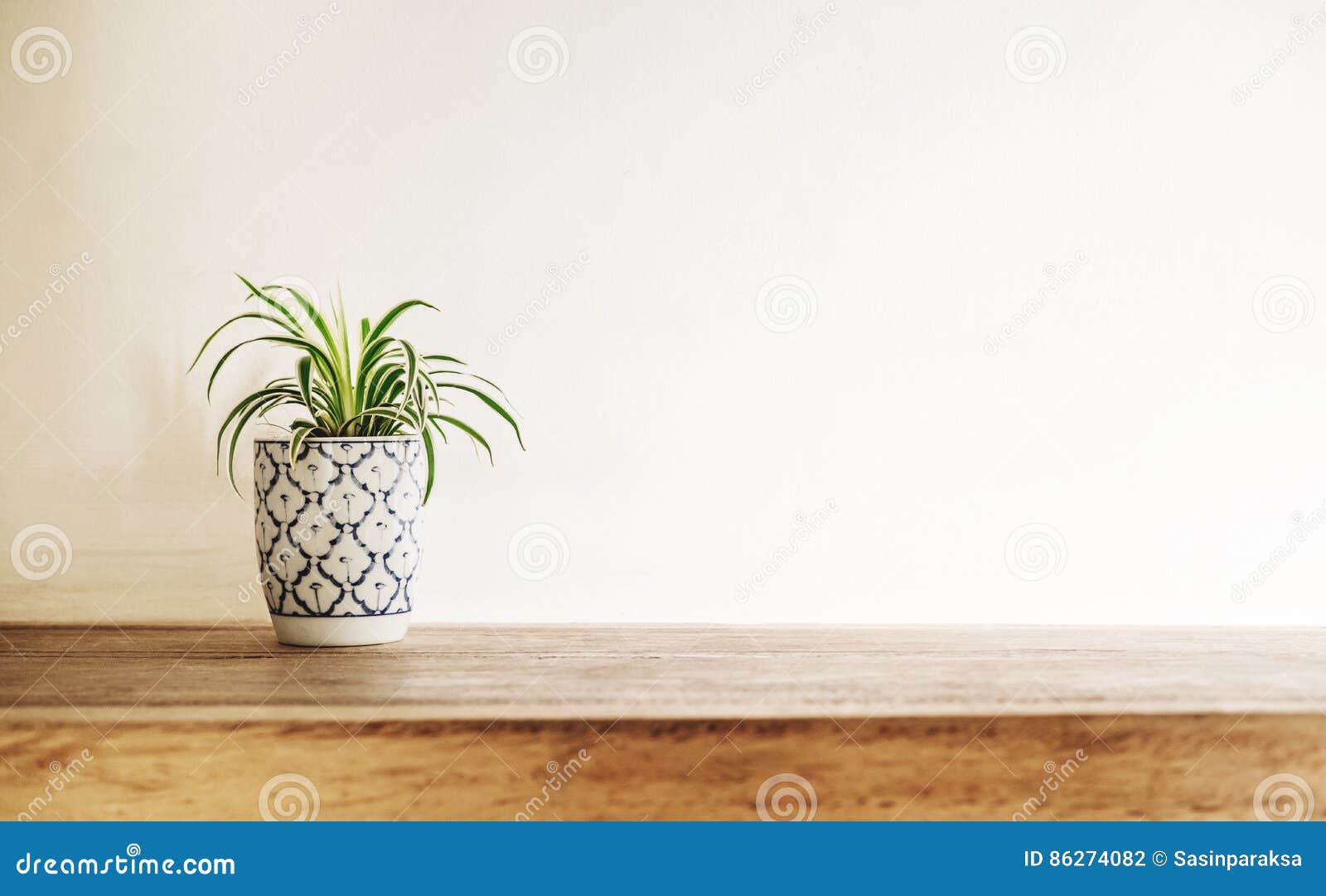 Wooden Desk Table Top with Tree Pot on White Wall, with Copy Space ...
