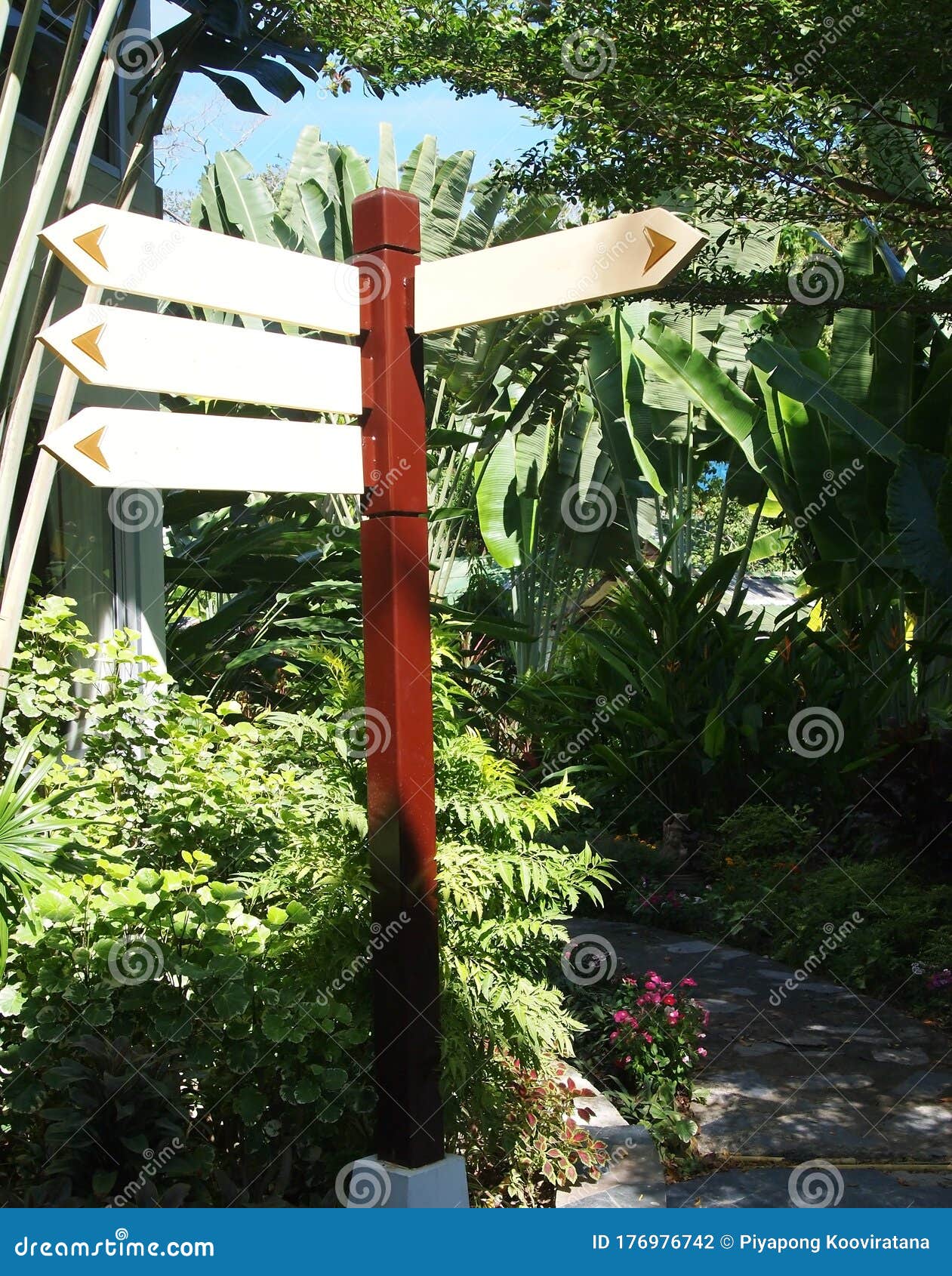 Wooden Direction Post with Arrow Pointers Stock Photo - Image of guide ...