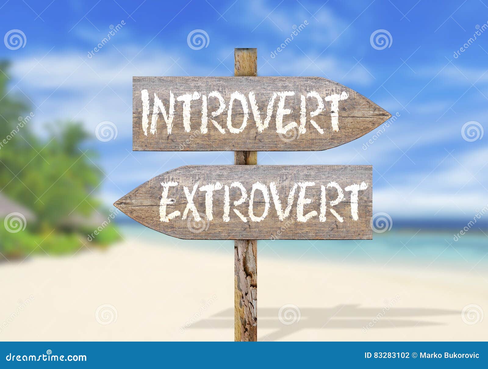 Wooden Direction Sign with Introvert and Extrovert Stock Photo - Image ...