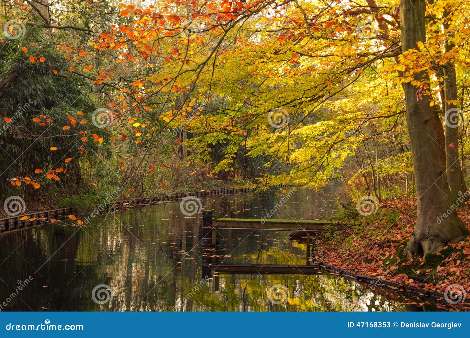 Wooden dock in the autumn stock image. Image of colorful - 47168353